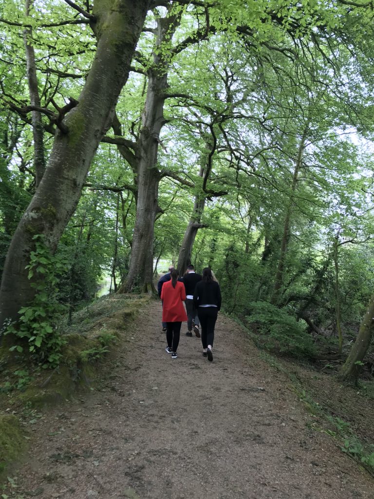 “Getting Ireland Active” – Application of a systems approach to ...